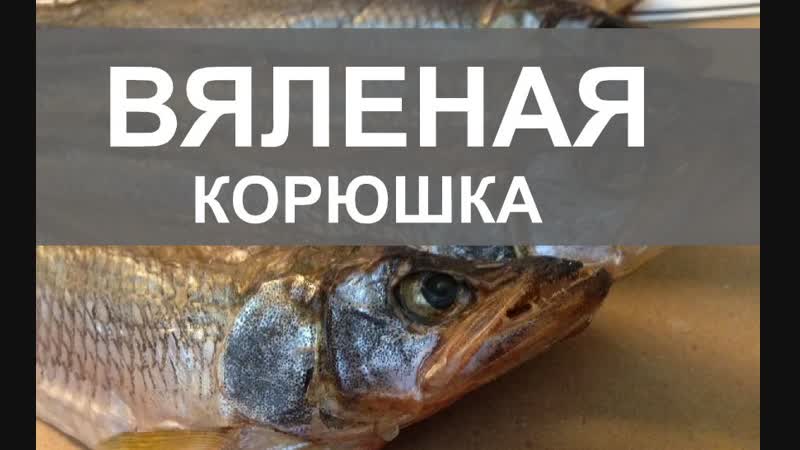 Вяленая корюшка купить в москве mp4 hq xxx video