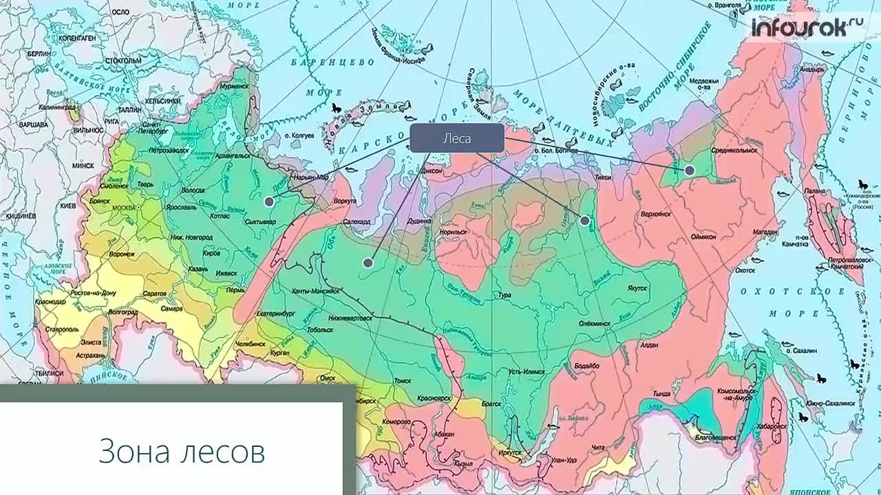 Особенности природы россии окружающий мир 4 класс #30 инфоурок mp4 hq ...